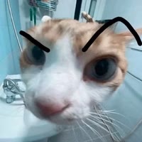 teto梨的个人空间 -AcFun弹幕视频网 - 认真你就输啦 (?ω?)ノ- ( ゜- ゜)つロ